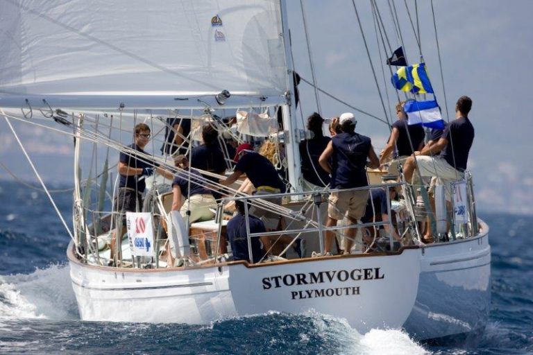 Sailing | Stormvogel