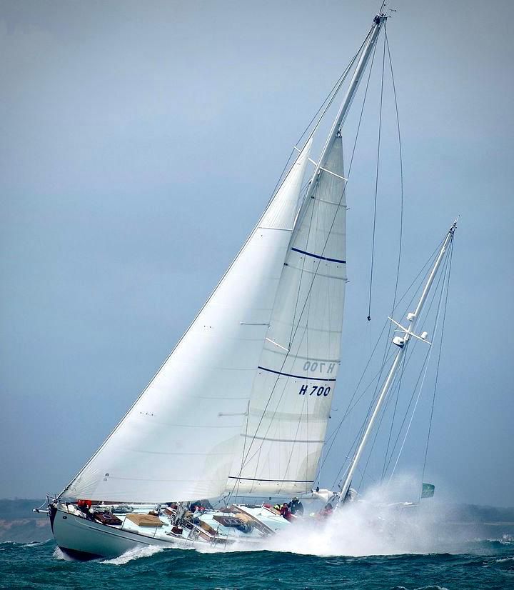 Ocean Racing | Stormvogel