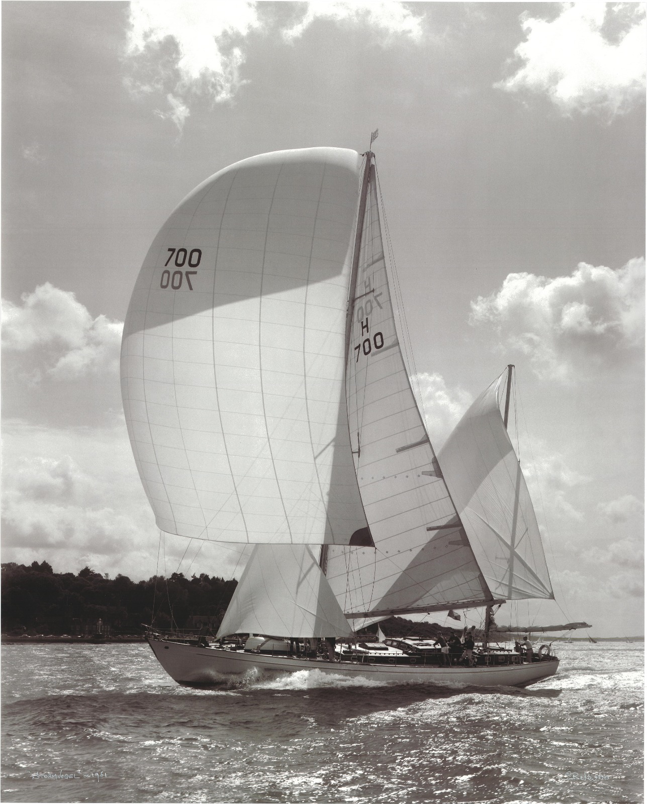 History | Stormvogel